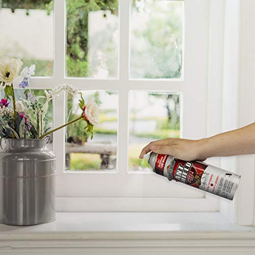 Spectracide Ant Shield Insect Killer Aerosol, 15-Ounce, Case Pack of 12