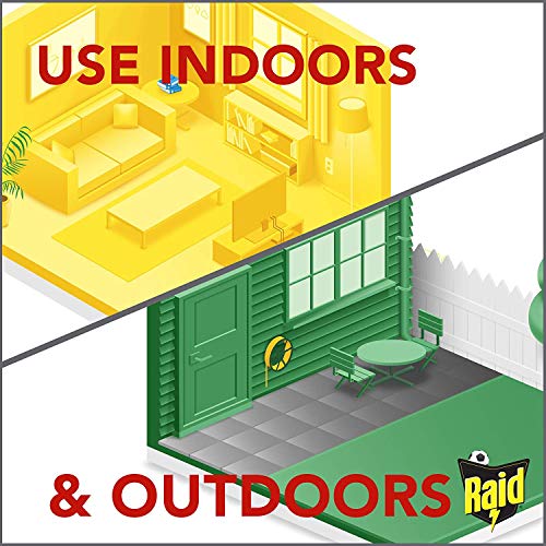 Raid House and Garden Aerosol 11 Ounce (Pack of 6)
