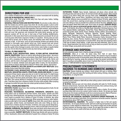 Raid House and Garden Aerosol 11 Ounce (Pack of 6)