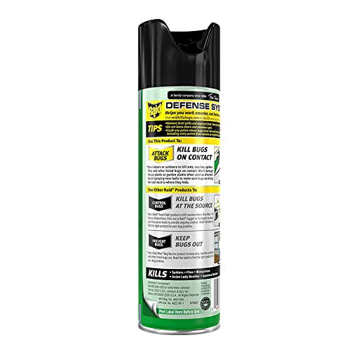 Raid House and Garden Aerosol 11 Ounce (Pack of 6)