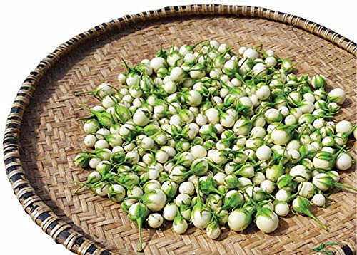 30+ Premium White Mini Round Eggplant - Cà Pháo Trắng Trái Nhỏ - Solanum macrocarpon - Seeds by Happy Seeds & Garden