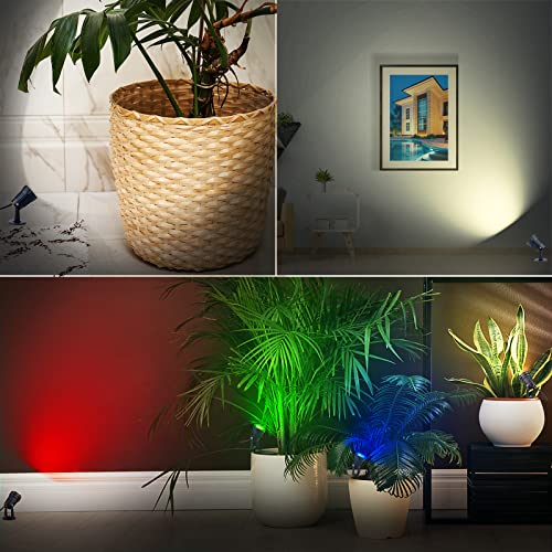 RAIFOOLLY Landscape Lights, Remote Control Spotlight with 16 Colors,Waterproof LED Ground Lighting with Spike and Base for Garden Pathway Patio Yard Plants(Plug-in)