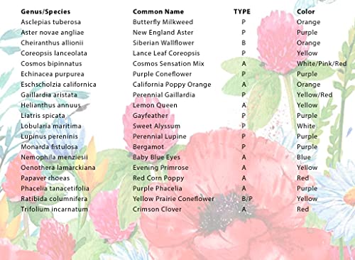 Bee and Butterfly Wildflower Seeds - Bulk Flower Seed Mix with Over 30,000 Premium Seeds- Stunning Blooms - Attracts Pollinators, Bees, Butterflies - Perennial, Annual