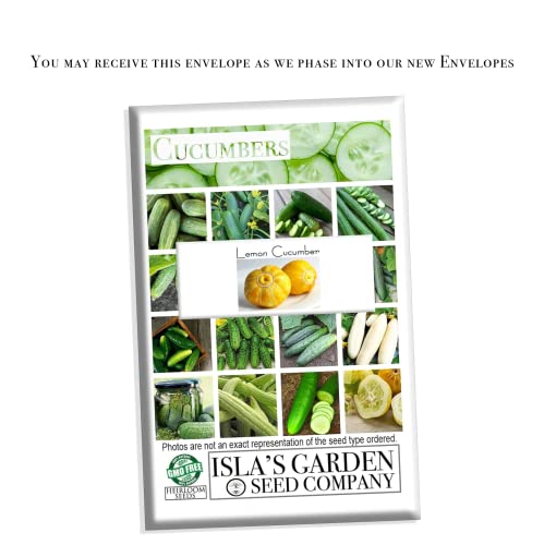 Lemon Cucumber Seeds for Planting,125+ Heirloom Seeds Per Packet, (Isla's Garden Seeds), Non GMO Seeds, Botanical Name: Cucumis sativus 'Lemon', Great Gift for Home Garden