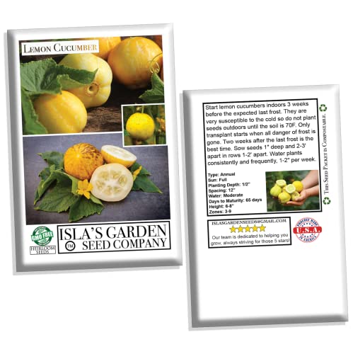 Lemon Cucumber Seeds for Planting,125+ Heirloom Seeds Per Packet, (Isla's Garden Seeds), Non GMO Seeds, Botanical Name: Cucumis sativus 'Lemon', Great Gift for Home Garden