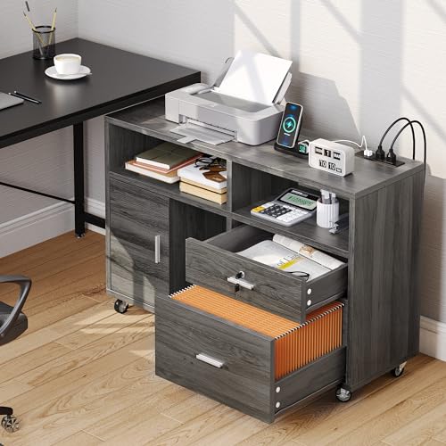 YITAHOME Wood Lateral File Cabinet, 2 Drawer Mobile Storage Cabinet, Fits A4, Letter and Legal, Printer Stand with Open Storage Shelves, Modern Filing Cabinet for Home Office, Grey