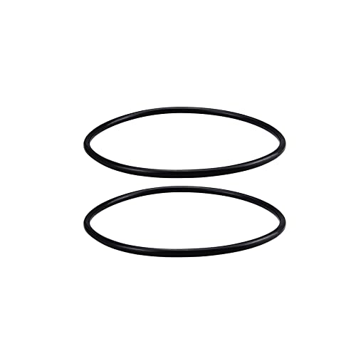 Ganivsor (2/Pack) Replacement SPX1500P Strainer O-Ring for Hayward Pumps fits Garden, Lawn, Supply, Maintenance CLX200K