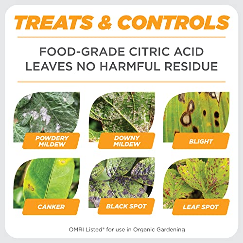 Earth’s Ally Plant Care Bundle – Insecticide and Fungicide Spray