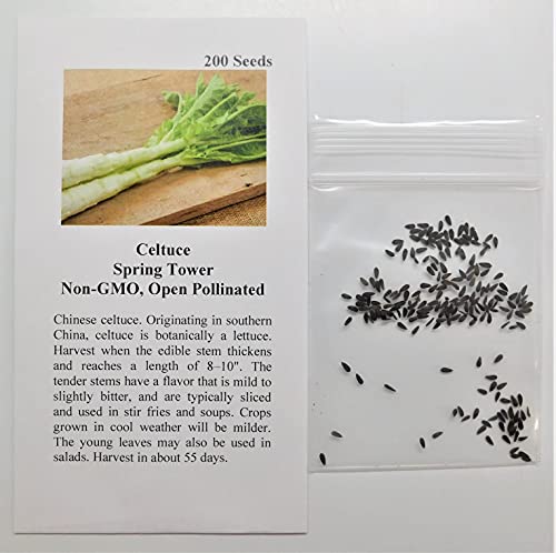 David's Garden Seeds Celtuce Spring Tower FBA-3272 (Green) 100 Non-GMO, Heirloom Seeds
