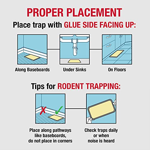 Baited Glue Traps by Catchmaster - 6 Pre-Baited Trays, Ready to Use Indoors. Rat Mouse Snake Exterminator Plastic Sticky Adhesive Easy No-Mess Simple Non-Toxic Disposable - Made in The USA