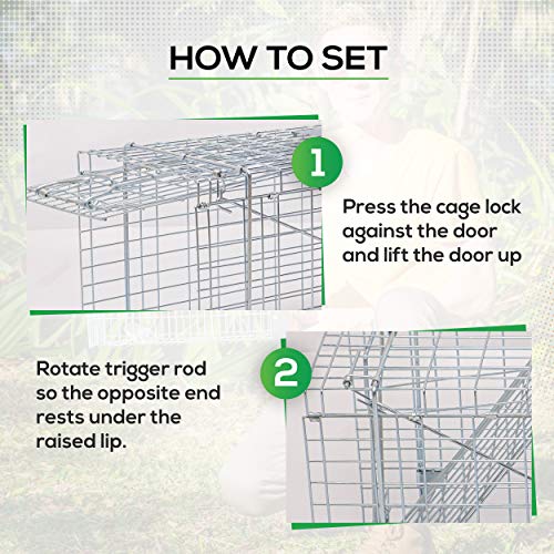 SAFETRAP Large Cage Trap for Live Animals + Bite Proof Gloves - 32" One-Door Humane Live Cage - Heavy Duty Animal Trap - Ideal to Catch & Release Raccoon, Chipmunk, Rabbit, Groundhog, Cat