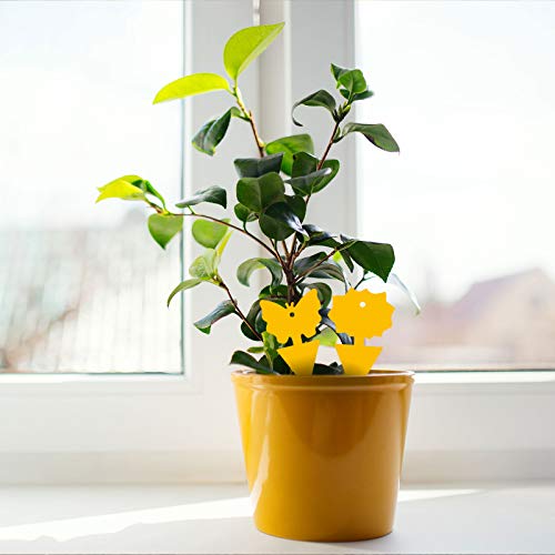 48PCS Fruit Fly Sticky Traps, Fungus Gnat Traps Insect Trap for Plants Kitchen Indoor and Outdoor(48 Lemon Yellow )