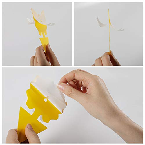 48PCS Fruit Fly Sticky Traps, Fungus Gnat Traps Insect Trap for Plants Kitchen Indoor and Outdoor(48 Lemon Yellow )