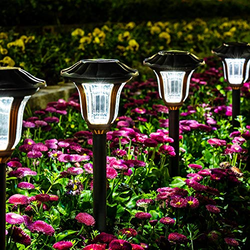 GIGALUMI Solar Pathway Lights, 8 Pack Bright Solar Garden Lights, Solar Powered Walkway Lights, Solar Lights Outdoor Waterproof Solar Path Lights for Yard, Patio, Driveway (Cold White)…