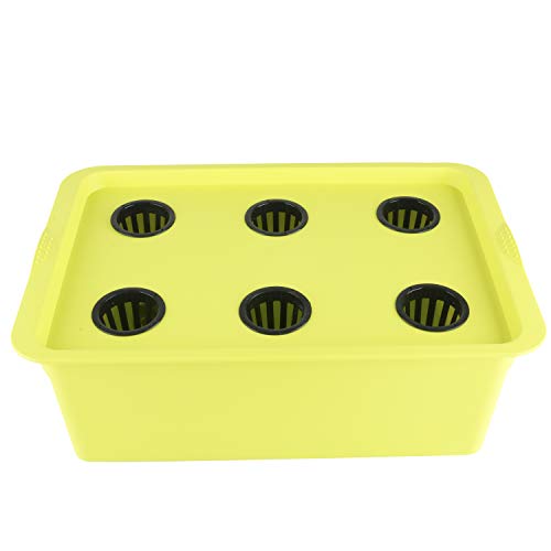 Homend DWC Deep Water Culture Hydroponic System Growing Kit, Medium Size w/Airstone, 6 Plant Sites (Holes) Bucket, Air Pump, Rockwool - Best Indoor Herb Garden for Lettuce, Mint, Parsley (6 Sites)