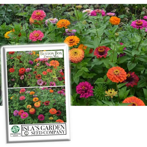 "Button Box Mix" Zinnia Seeds for Planting, 100+ Flower Seeds Per Packet, (Isla's Garden Seeds), Non GMO & Heirloom Seeds, Botanical Name: Zinnia elegans, Great Home Garden Gift