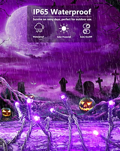 Flacchi Purple Solar Halloween Lights 72ft 200 LED 8 Modes Waterproof Solar String Lights for Garden,Patio,Fence,Balcony,Outdoor,Holiday Decoration