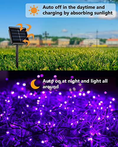 Flacchi Purple Solar Halloween Lights 72ft 200 LED 8 Modes Waterproof Solar String Lights for Garden,Patio,Fence,Balcony,Outdoor,Holiday Decoration