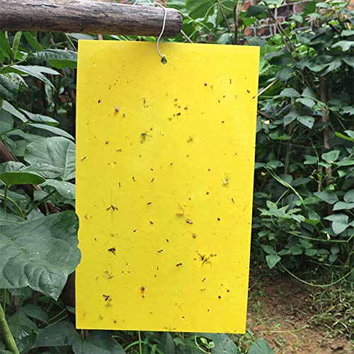 Gingbau 30-Pack Yellow Sticky Traps for Flying Plant Insects Like Fungus Gnats, Whiteflies, Aphids, Leafminers (Twist Ties Included)