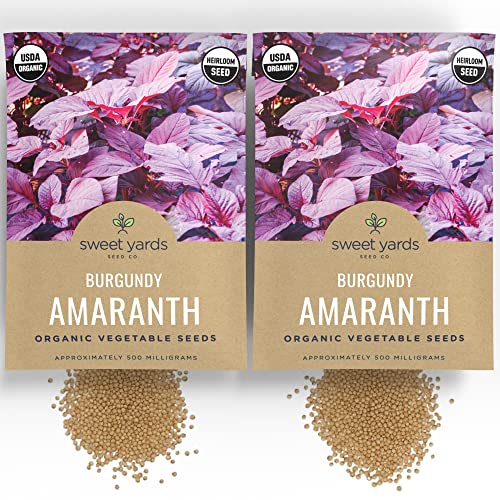 Organic Red Amaranth Seeds 'Burgundy' β Two Seed Packets! β Over 1,000 Open Pollinated Non-GMO USDA Organic Seeds