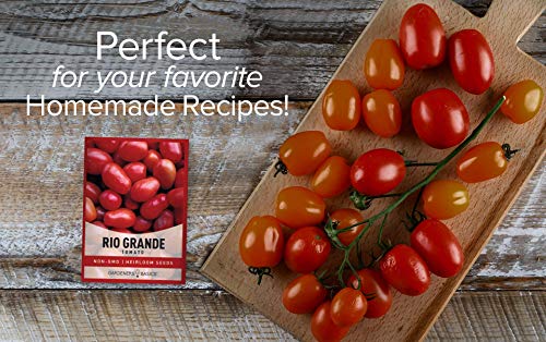 Rio Grande Tomato Seeds for Planting Heirloom Non-GMO Seeds for Home Garden Vegetables Makes a Great Gift for Gardening by Gardeners Basics