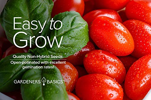 Rio Grande Tomato Seeds for Planting Heirloom Non-GMO Seeds for Home Garden Vegetables Makes a Great Gift for Gardening by Gardeners Basics