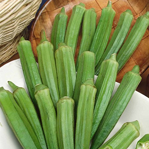 Okra Seeds for Planting - Clemson Spineless - 10 g 175+ Seeds - Non-GMO, Heirloom Okra Vegetable Seeds - Home Garden Okra Seeds - Sealed in a Beautiful Mylar Seed Packet for Extended Shelf Life