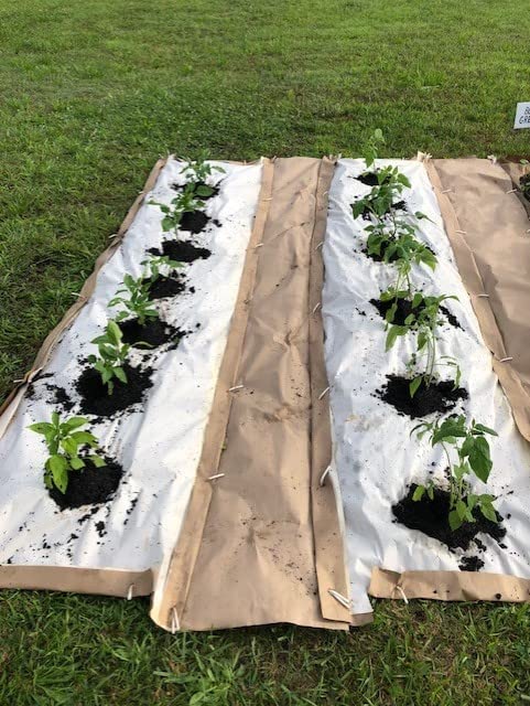 Lazy Crazy Garden - Grow Vegetables & Fruits On Your Lawn - 12x3 FT Biodegradable Garden Bed Soil