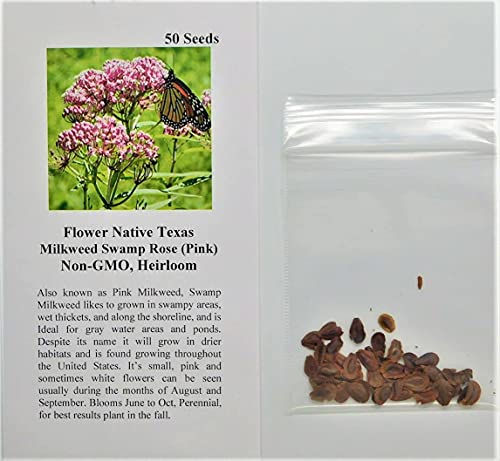 David's Garden Seeds Flower Native Texas Milkweed Swamp Rose 4523 (Pink) 50 Non-GMO, Heirloom Seeds