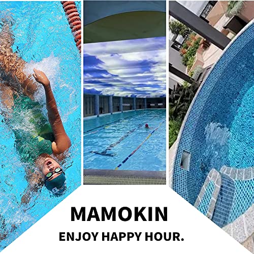 Mamokin Replaces 6CH-940 Spa Filter,Unicel 6CH-940,Filbur FC-0359, 817-0050, 25252, 03FIL1400,PWW50P3(NOT PWW50P4), (1 1/2" Coarse Thread), Waterway Front Access Skimmer, SAE Thread Filter 2 Pack