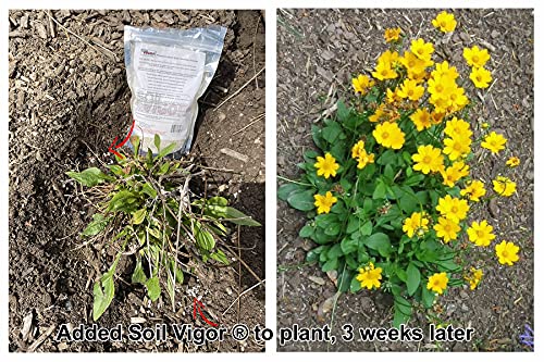 Potassium Polyacrylate for Garden Lasts Up to 7 Years in Soil (1)