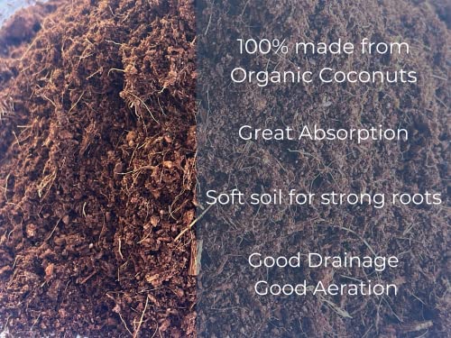 Southside Plants Coco Peat Coconut Substrate for Garden Potting Soil - 100% Organic & Eco-Friendly 1.4 lb Brick for Indoor & Outdoor Flowers & Plants Growth – 650 Grams