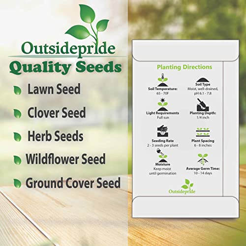 Outsidepride Vinca Periwinkle Titan Garden Flower, Ground Cover, & Container Plant Mix - 50 Seeds
