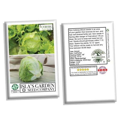 Iceberg Lettuce Seeds for Planting, 2500+ Heirloom Seeds Per Packet, (Isla's Garden Seeds), Non GMO Seeds, Botanical Name: Lactuca Sativa VAR, Great Home Garden Gift