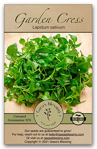 Gaea's Blessing Seeds - Curled Cress Seeds (3.0g) - Non-GMO Seeds with Easy to Follow Planting Instructions - Heirloom Garden Cress - Pepper Cress - 93% Germination Rate