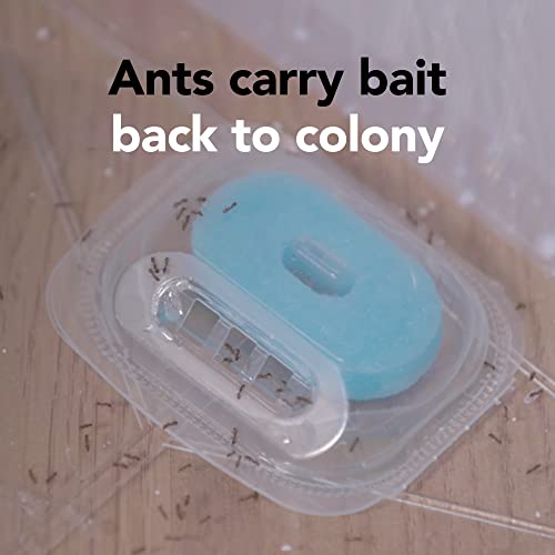 Raid Max Liquid Ant Bat; Kills Ants Where They Breed, For Indoor and Outdoor Use; 4 Bait Stations