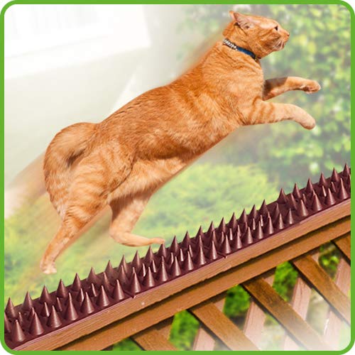 De-Bird: Defender Spikes, Cat and Bird Deterrent - Outdoor Pest Defender to Keep Off Pigeon, Squirrel, Woodpecker & More, Plastic Deterrent Anti Theft Climb Strips - 12pk [12 Foot]