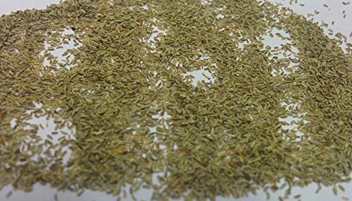 Herb Seeds - German Chamomile - Medicinal, Flowering, and Edible - Liliana's Garden