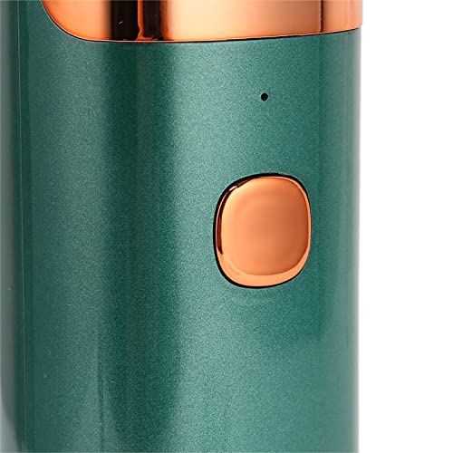 Professional Fogger Machine, 1000mAh Rechargeable Electric Fogger Machine, Handheld Atomizer Sprayer Atomizer Sprayer Machine Handheld Fogger Mist Machine for Home, Office, School, Garden(green)