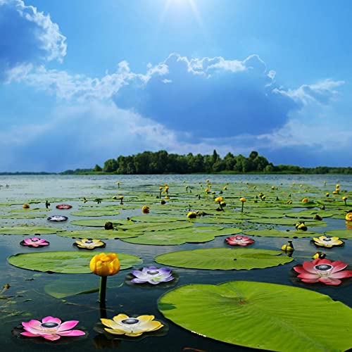 CHICIRIS Floating Pool Lights, Waterproof Solar Pond Pool Lights Multi-Colored LED Night Light, Flower Floating Lamp for Swimming Pool, Beach, Garden(Purple)