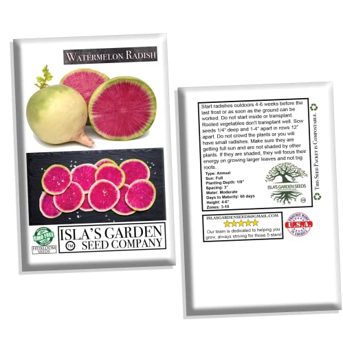 Watermelon Radish Seeds for Planting, 120+ Heirloom Seeds Per Packet, (Isla's Garden Seeds), Non GMO Seeds, Botanical Name: Raphanus sativus acanthiformis, Great Home Garden Gift