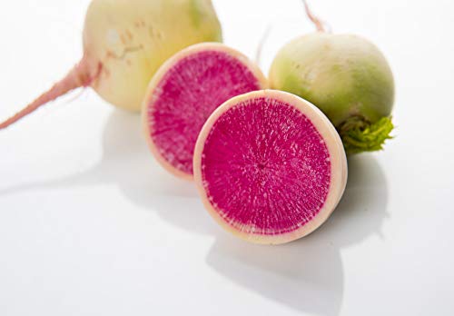 Watermelon Radish Seeds for Planting, 120+ Heirloom Seeds Per Packet, (Isla's Garden Seeds), Non GMO Seeds, Botanical Name: Raphanus sativus acanthiformis, Great Home Garden Gift