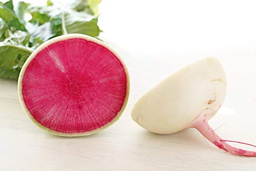 Watermelon Radish Seeds for Planting, 120+ Heirloom Seeds Per Packet, (Isla's Garden Seeds), Non GMO Seeds, Botanical Name: Raphanus sativus acanthiformis, Great Home Garden Gift