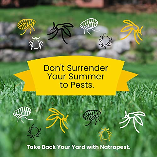 Natrapest Yard Spray - Ready to Use Flea, Tick & Mosquito Yard Spray with Natural Essential Oils - Plant Based Formula is Plant, Pet & Kid Safe - Insect Killer, Treatment & Repellent - 32 oz