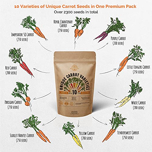 10 Carrots & 12 Rare Sweet & Mild Pepper Seeds Variety Packs Bundle Non-GMO Heirloom Seeds for Planting Indoor and Outdoor Over 4200 Carrot & Pepper Seeds in One Value Bundle