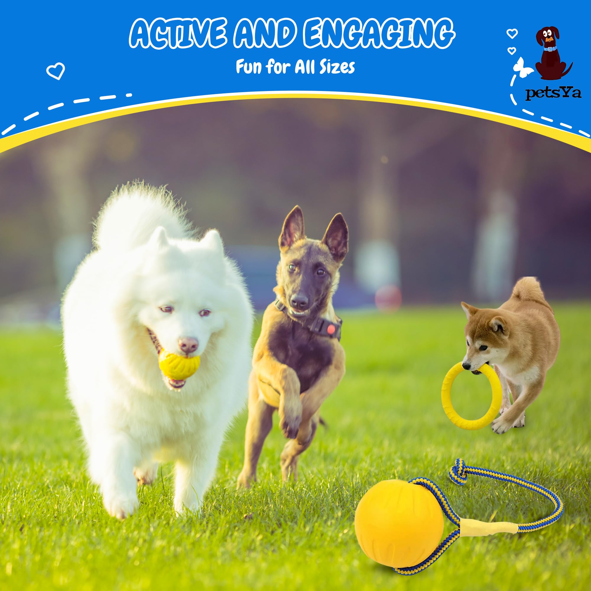 petsYa Ball Dog with Rope and Dog Ring Flying Traning chew Dog Toys Soft Foam Ball for Fetching Soaring Flying Ring