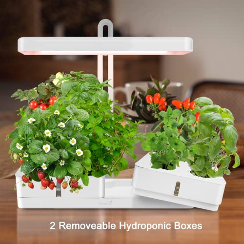 GrowLED Indoor Garden Hydroponic Growing System: Plant Germination Kit Aeroponic Herb Vegetable Growth Lamp Countertop with LED Grow Light - Hydrophonic Planter Grower Harvest Veggie Lettuce