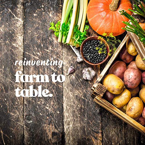 Grannys Garden Heirloom Vegetable Seed Collection - 15 Varieties Non-GMO Heirloom Beet Carrot Cucumber Basil Kale Lettuce Melon Onion Pea Pepper Squash and Tomato Seeds by Sustainable Seed Company