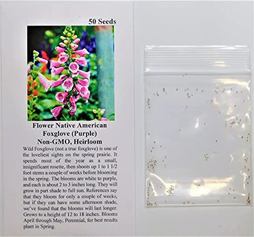 David's Garden Seeds Flower Native American Foxglove 8833 (Purple) 50 Non-GMO, Heirloom Seeds