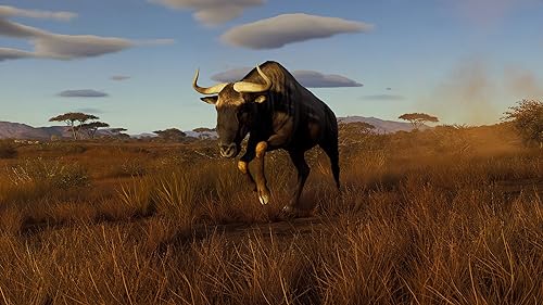 Way of the Hunter - Hunting Season One - Xbox Series X
